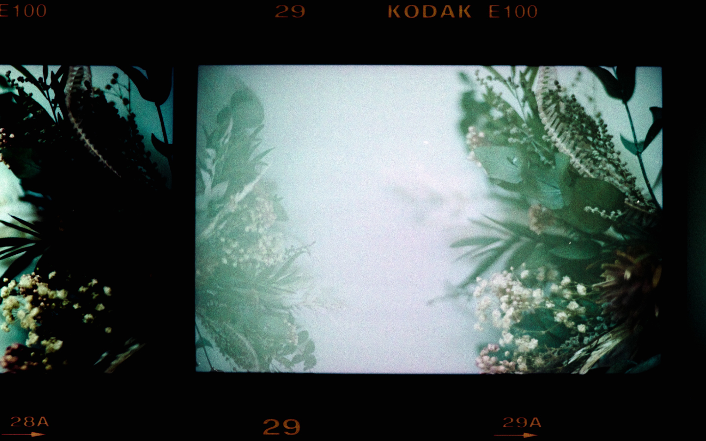 Why Film Photography is Loved Among Creatives | London College Of Style